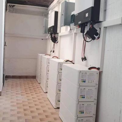 Cina 48V 200Ah 100Ah 10kWh 5kWh Power Montaggio a parete Power Rack Lifepo4 51.2v 200Ah Batteria ricaricabile in vendita
