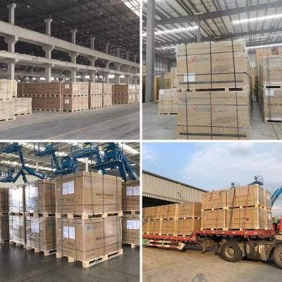 China N Type Double Glass Trina Solar Panels 675w 680w 685w 690w 695w 700w Solar PV Module for sale
