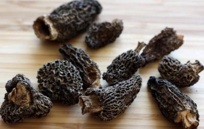 China Dried Morel Mushrooms for sale