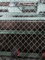 China High Efficiency  Chain Link Mesh Making Machine Diamond Wire Mesh Machine for sale