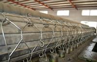 Cina scatola galvanizzata immersa calda del gabbione di 2.7mm/3.4mm con l'anti corrosione di 270g /M2 in vendita