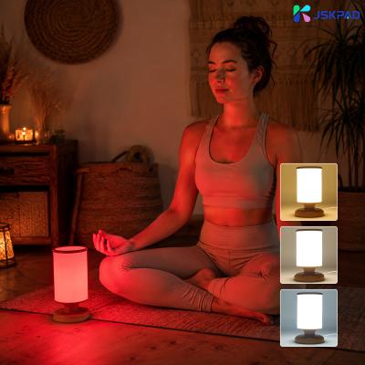 China Hot Sale LED Daylight Therapy Lamp 12W Dimmable Touch Control Timer Dual USB Charging Portable CE Certified for sale