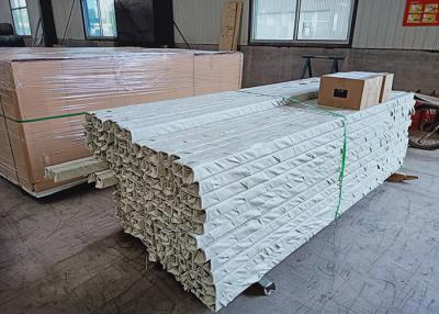 Cina 3D recinto galvanizzato Panel in vendita