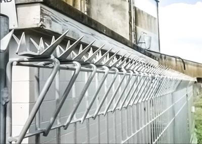 Cina BRC galvanizzato immerso caldo Mesh Fencing in vendita