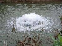 Quality Plastic Float Spring Aerator Higher Aeration Efficiency For Landscape Lake for sale