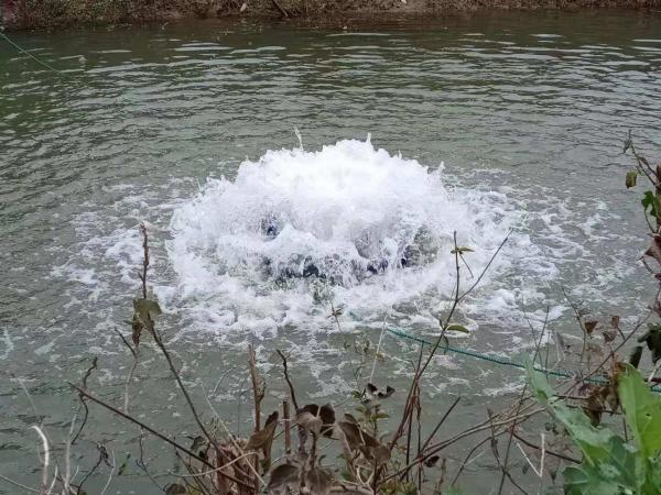 Quality Plastic Float Spring Aerator Higher Aeration Efficiency For Landscape Lake for sale