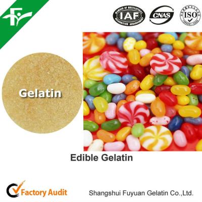 China Gelatin for Candy for sale