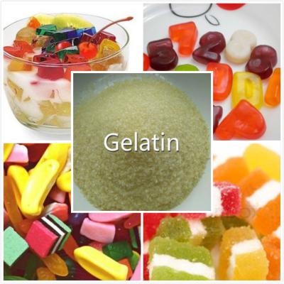 China Edible Bovine Skin Gelatin 6 Mesh-100 Mesh for sale