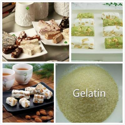 China Edible Pork Skin Gelatin 6 Mesh-100 Mesh for sale