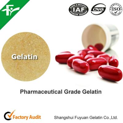 China Pharmaceutical Pork Gelatin for sale
