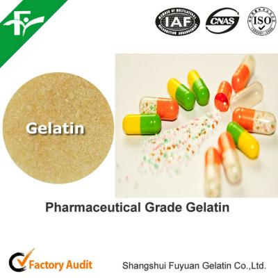 China Medical Gelatin for sale