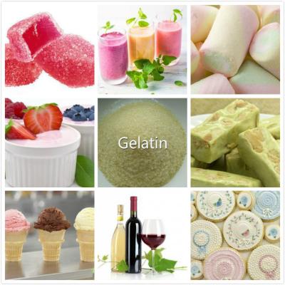 China Food Gelatin for sale