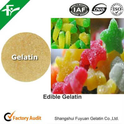China Food Bovine Gelatin Powder for sale