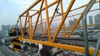 China Used Tower Crane W6515-10 for sale