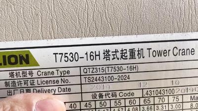 China Zoomlion Tower Crane The Perfect Combination of Yellow and 16T for Architects for sale