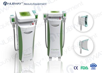 China CE Approved Popular Two handles cryolipolysis rf equipment for fat removal for sale