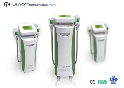 China CE Approved Popular Two handles cryolipolysis freezing equipment for fat removal for sale