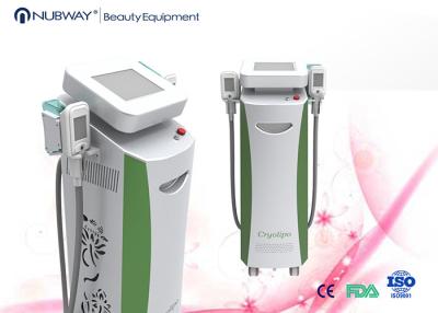 China 2014 Latest 2 handles cryolipolysis fat reducing machine for whole body slimming for spa for sale