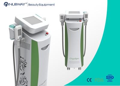 China Latest 2 handles cryolipolysis & vacuum & laser equipment for whole body slimming for spa for sale