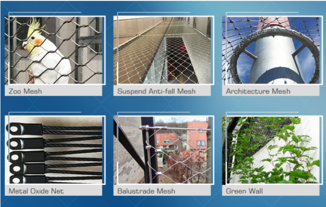 Inferriate del ponte e maglia 60x60mm della corda del puntale di acciaio inossidabile della balaustra 5
