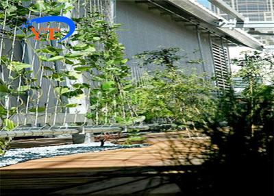 Cina cavo tessuto Mesh Cable Netting di acciaio inossidabile SUS304 di 2.0mm 100x100mm per la scalata della pianta in vendita