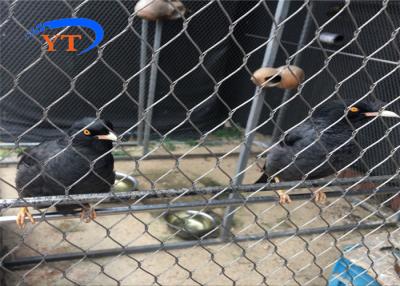 China Soft Macaw Aviary Wire Stainless Steel Rope Mesh Netting For Enclosure Fence for sale