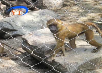 Cina L'acciaio inossidabile Webnet di Diamond Architectural 3.0mm ha annodato il recinto dello zoo in vendita