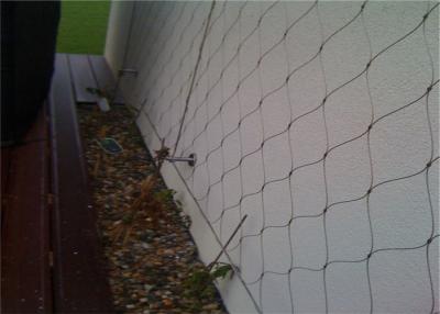 China Trellis Aisi Ss316 Inox Stainless Steel Netting Mesh Outdoor for sale