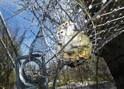 Китай Тип сетка Ferrule Ferrule веревочки провода нержавеющей стали ячеистой сети 316l Aviary продается