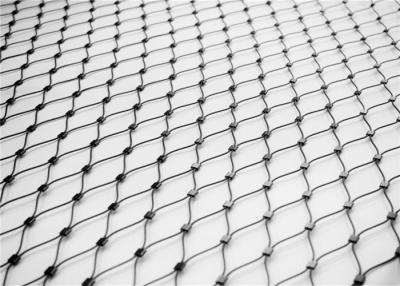 Cina Corda Mesh High Tensile Zoo Enclosure di acciaio inossidabile di sicurezza 1*1m per le gabbie dell'uccelliera dell'uccello in vendita