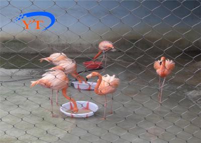 Китай 304 таможня x ячеистой сети 316 Aviary клонят 3mm стальное продается