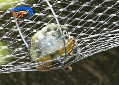 Китай Ferruled провод 30x30mm клетки птицы нержавеющей стали ячеистой сети 3.2mm зоопарка продается