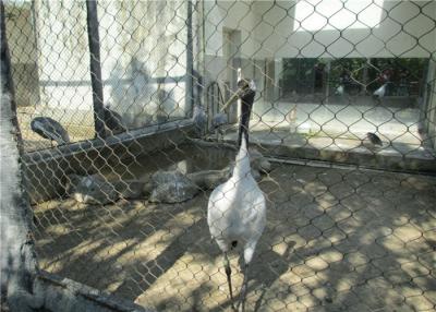 Китай Веревочка нержавеющей стали приложения Aviary птицы AISI 304 заказная цепляет 30x30mm для зоопарка продается