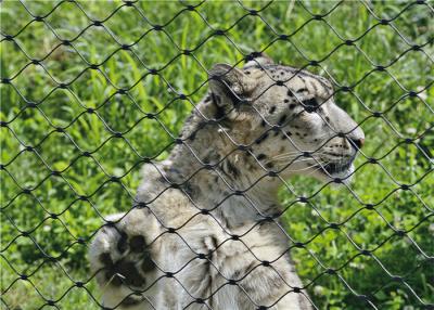 Китай Сетка 40x40mm зоопарка веревочки провода птицы плетения сетки Aviary нержавеющей стали SS316 продается