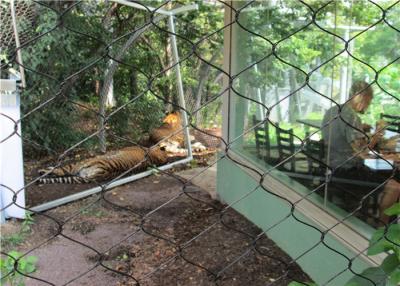 Китай плетение 3.0mm ячеистой сети нержавеющей стали 316 316L гибкое для Aviary птицы продается