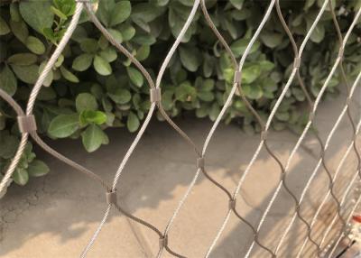 中国 Ss304Lの植物の上昇の植物のための上昇の格子垣2.0mmワイヤー サポート100x100mm 販売のため