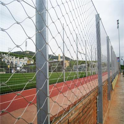 China 60x60mm Inox Wire Mesh Eye Size Stainless Steel Mesh Net 316L for sale