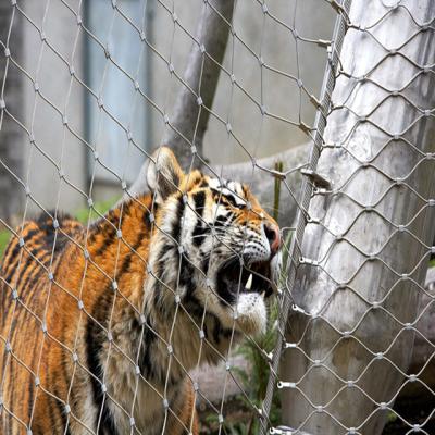 China Malha HandWoven 60 da corda de Mesh Pongidae Enclosure Steel Wire do fio do jardim zoológico 90 graus Mesh Angle à venda