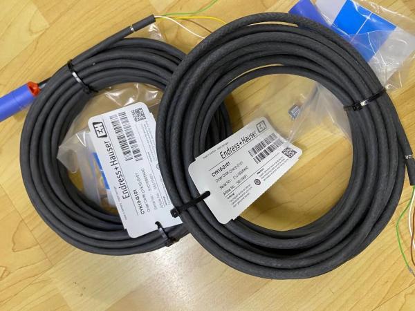 Quality Endress+Hauser CYK10-G101 | Memosens Sensor Extension Cable, 10m, PVC Jacket for sale
