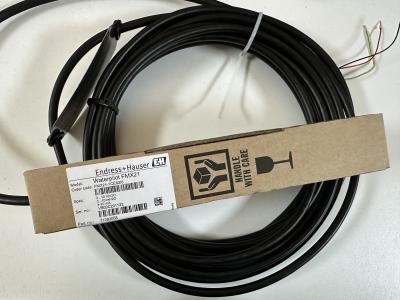 China Endress+Hauser FMX21-1CE620 | Levelflex M Guided Wave Radar Transmitter, 2-Wire 4-20mA HART for sale