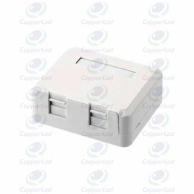 China High-Impact Housing Fully tested  Easy to install design 2 Ports Surface Mount Box for sale