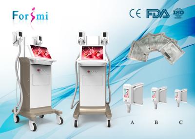 China New steady technology beauty equipment belly fat freezing smooth shapes cellulite cryolipolisis machine for sale