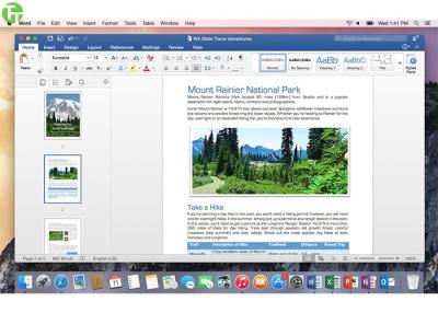 microsoft office project 2010