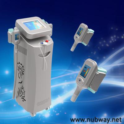 China Portable Beauty Cryolipolysis Machines/Multifunction Cryolipolysis for sale