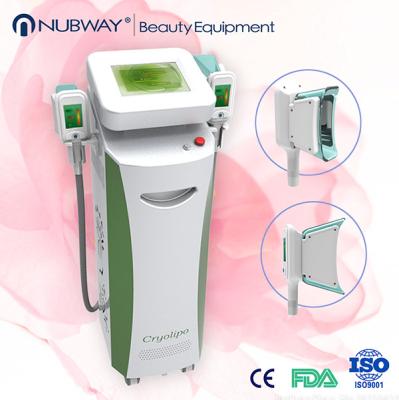 China Promotion!!!beauty salon cryolipolysis machines on sale for sale