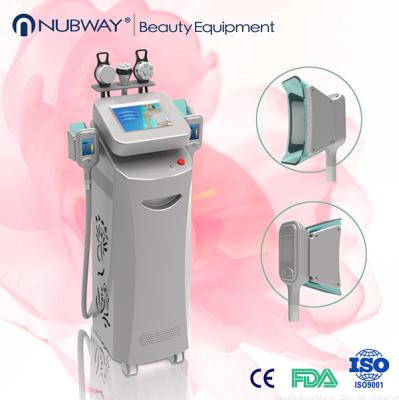 China Cryolipolysis Beauty Equipment/Cryolipolysis Vacuum Slimming Beauty Machine for sale