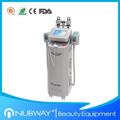 China Fat Freezing Liposuction Cryolipolysis Machine/Fat Freeze Cryolipolysis Slimming Machine for sale