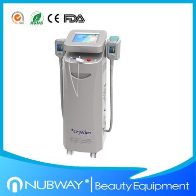China Portable Cryolipolysi Machine/Portable Cryolipolysis Weight Loss Machine for sale