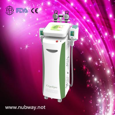China Cryolipolysis Body Shape Equipment/Cryotherapy Cryolipolysis Slimming Machine for sale