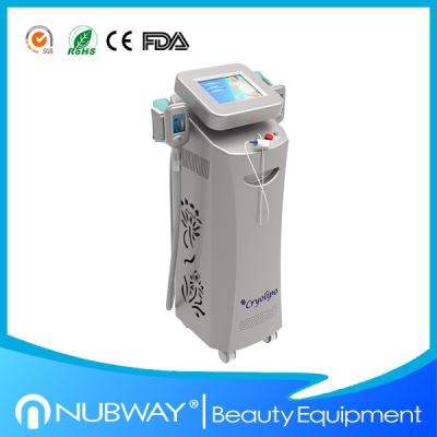 China Best Cryolipolysis Slimming Machine/2014 Newest Cryolipolysis for sale
